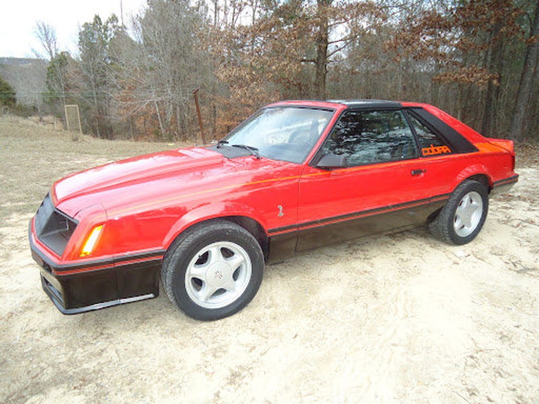 1981 Mustang Cobra | Poster | 24x36 Inches - Etsy