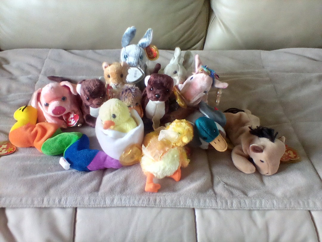 TY Farm Animal Beanie Babies in Display Case - Etsy