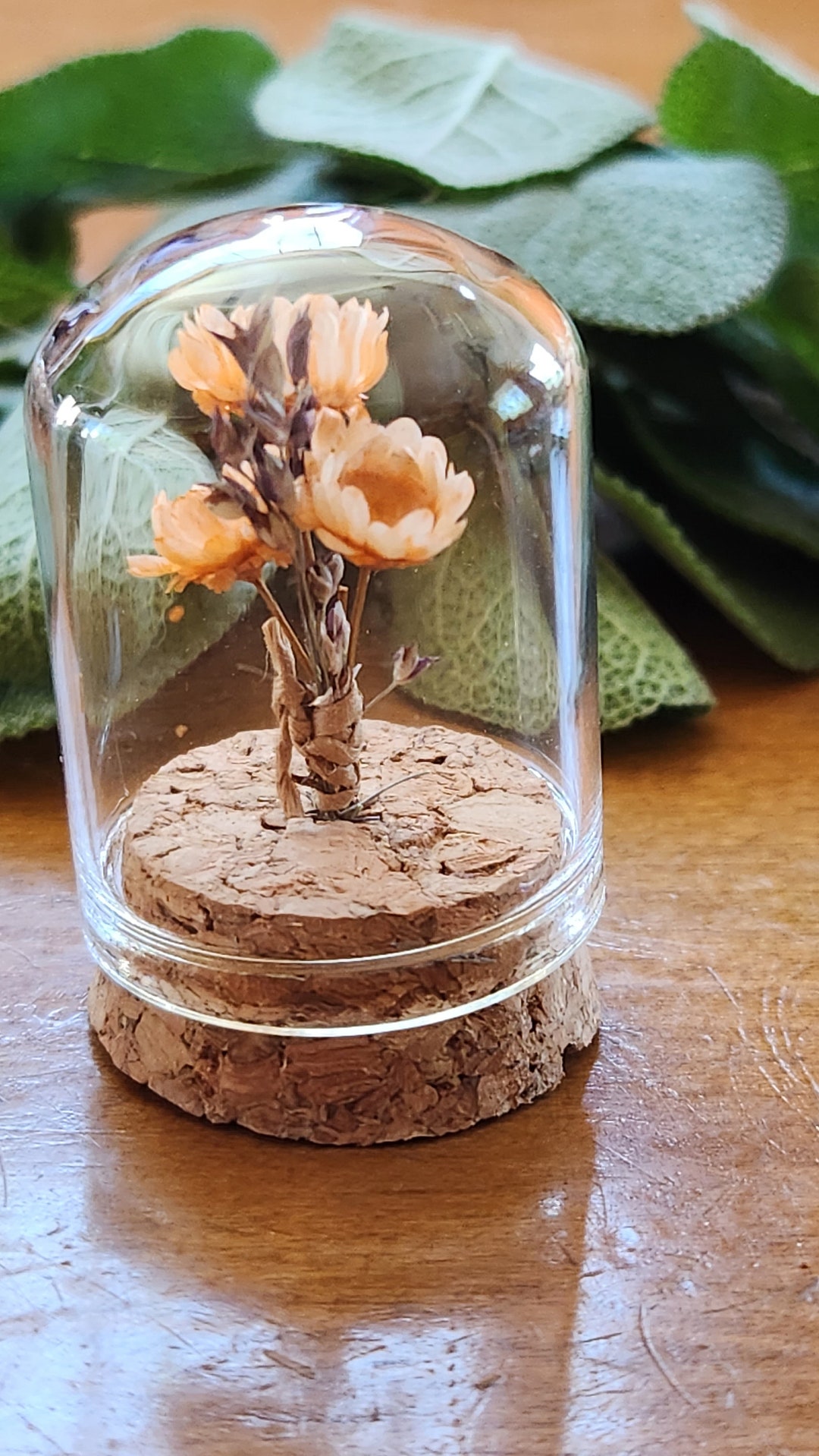 Miniature Floral Baby's Breath, Prairie Terrarium. - Etsy