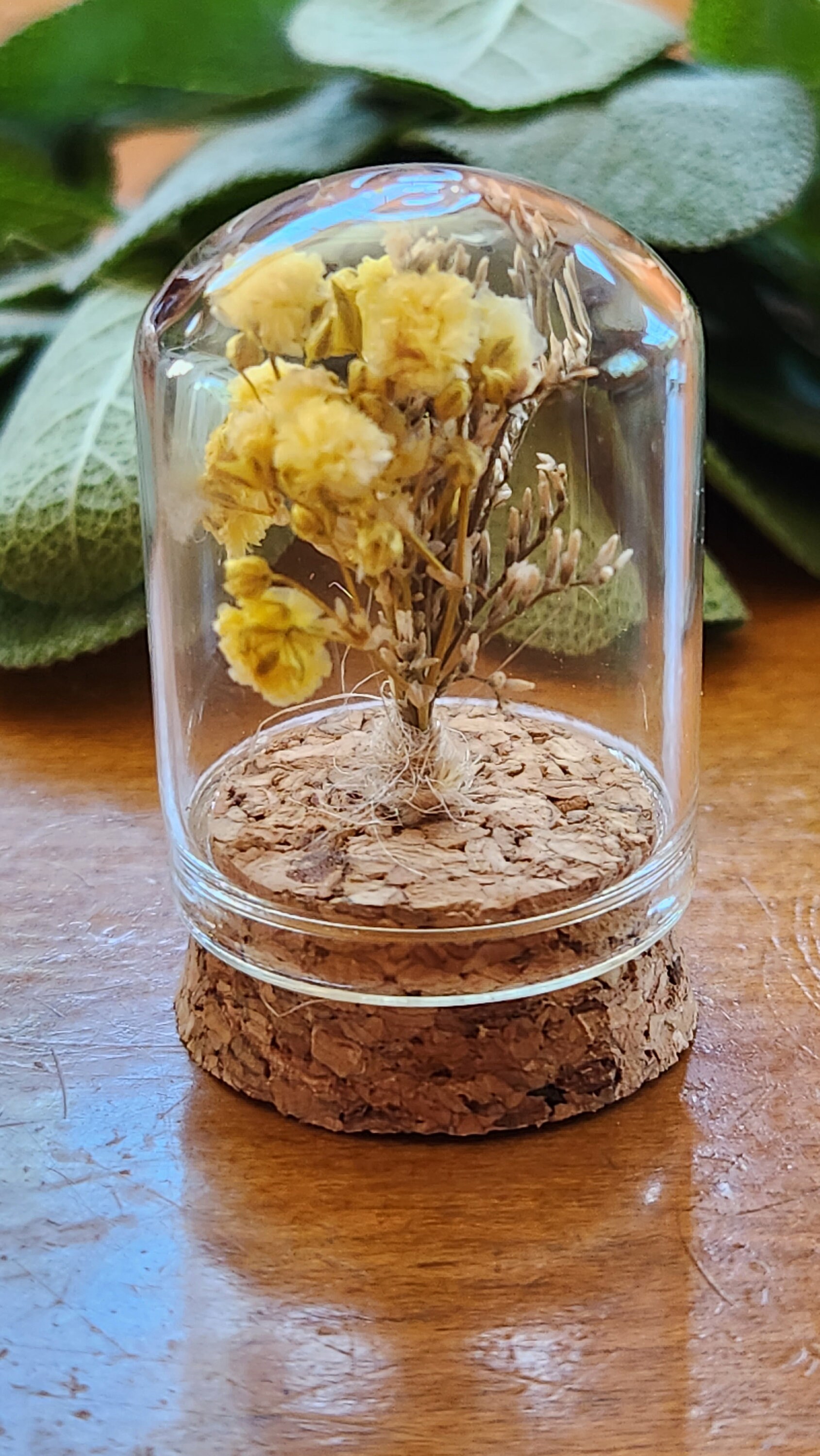Miniature Floral Prairie Grass Terrarium - Etsy
