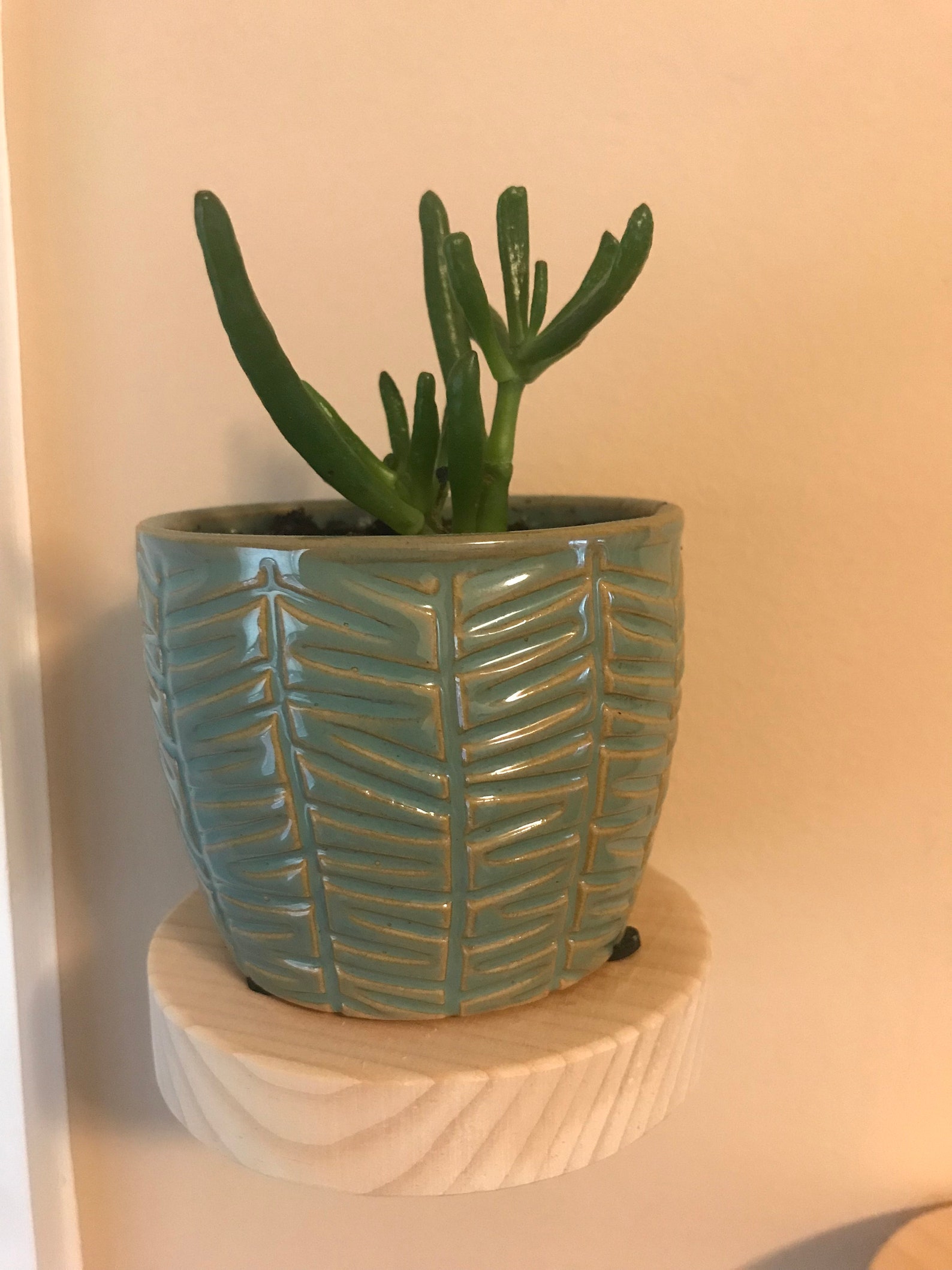 Pinewood Floating Shelves Set of 2 You Choose Stain Color - Etsy