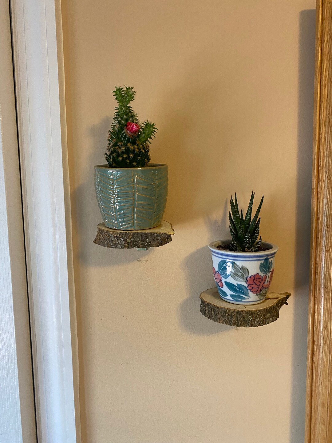 Elm Wood Oval Slice Floating Plant Shelf Set of Two Perfect for Living ...