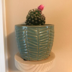 Pinewood Floating Shelves Set of 2 You Choose Stain Color Perfect for ...