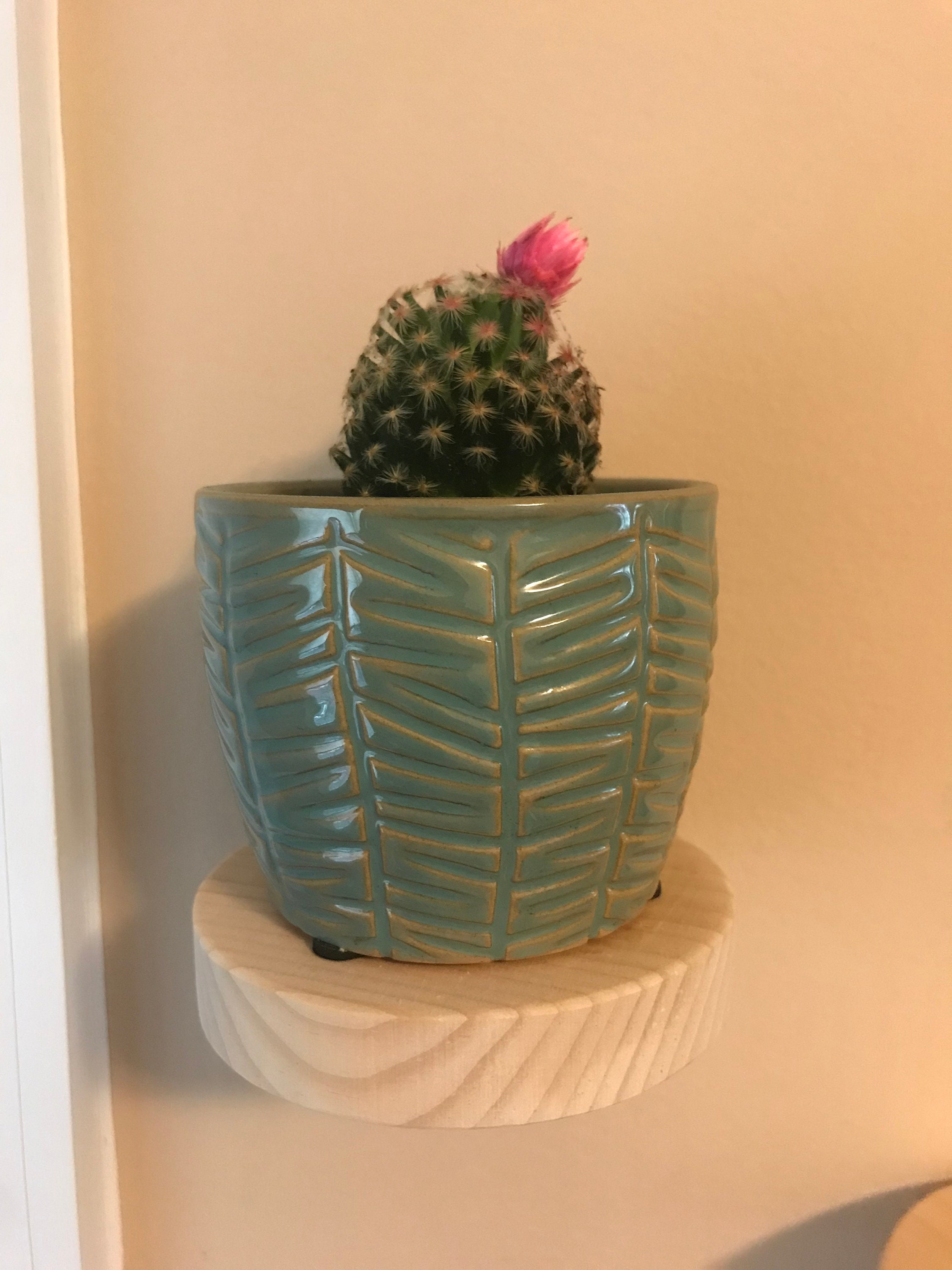 Pinewood Floating Shelves Set of 2 You Choose Stain Color - Etsy