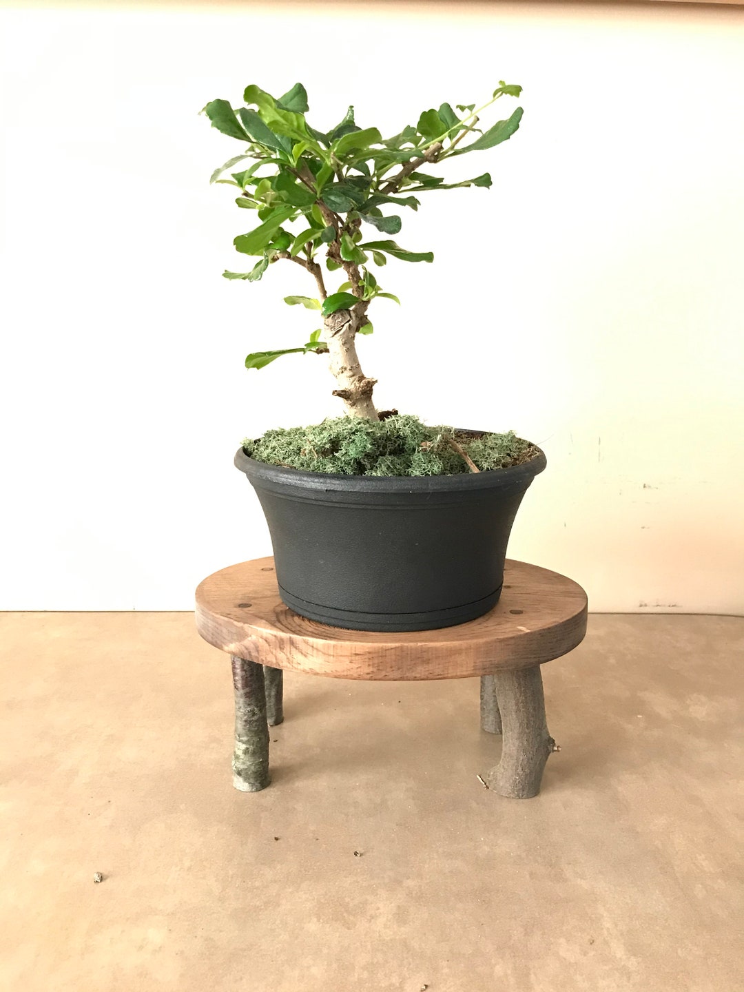 Bonsai Plant Stand,miniature Wood Table, Unfinished You Choose Stain ...