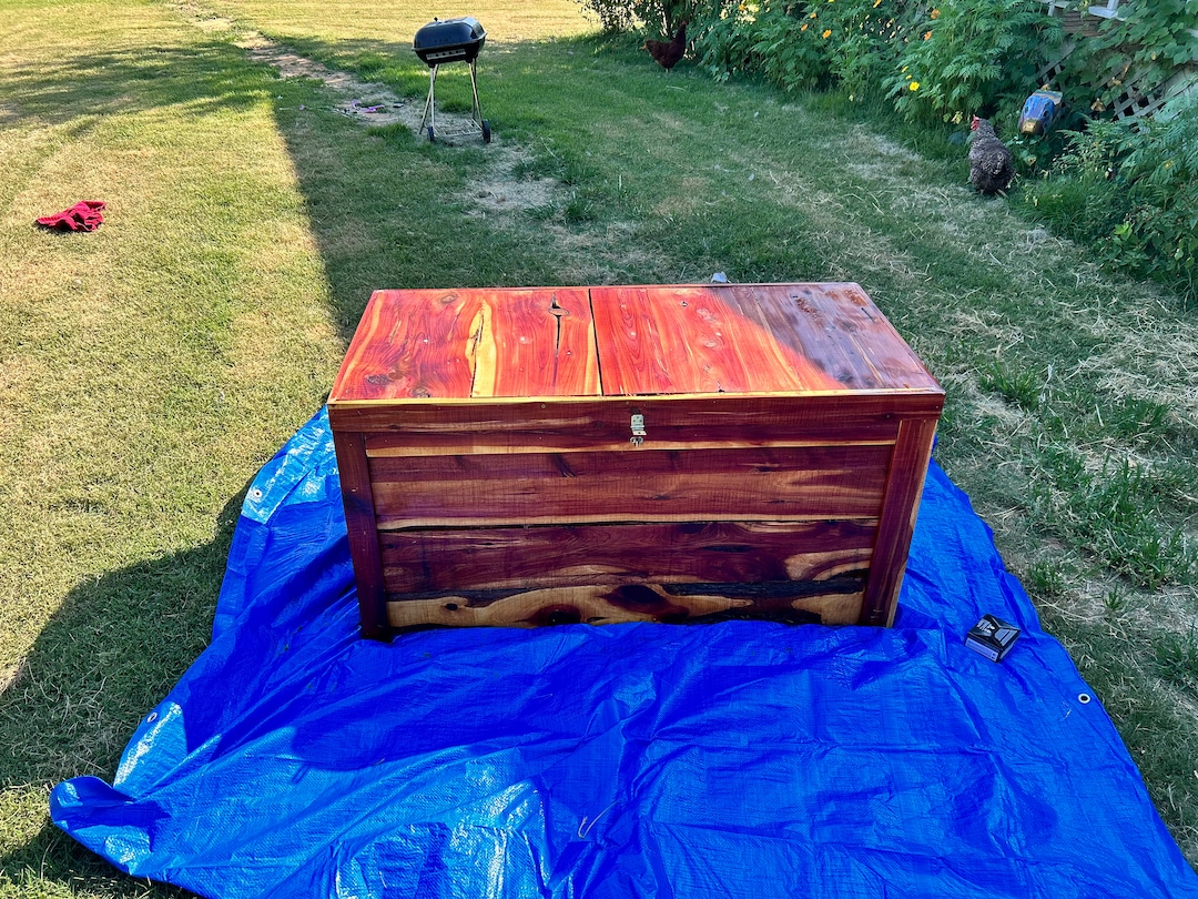 Cedar Tack Trunk - Etsy