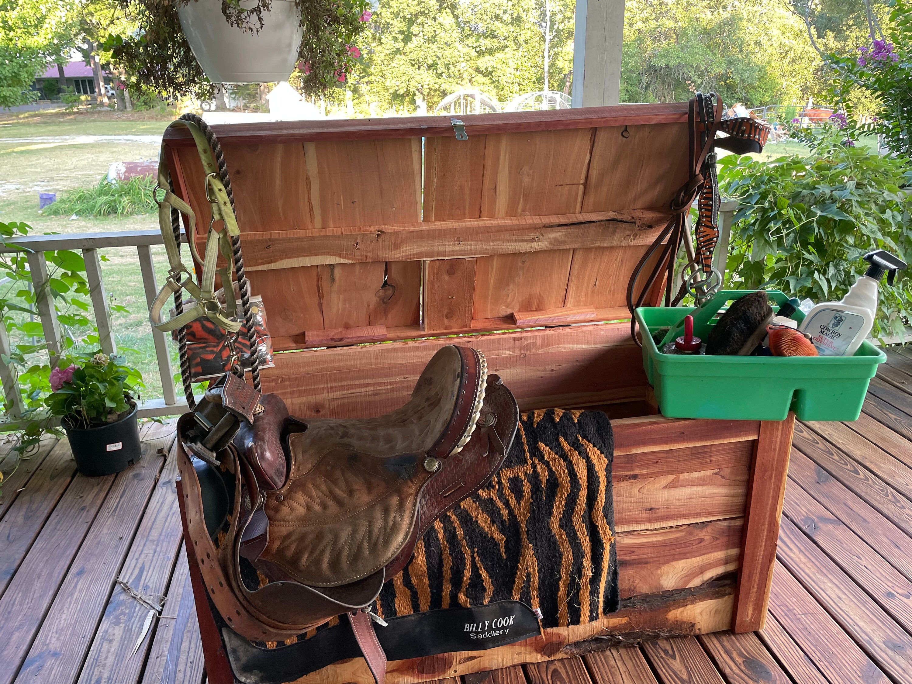 Cedar Tack Trunk - Etsy