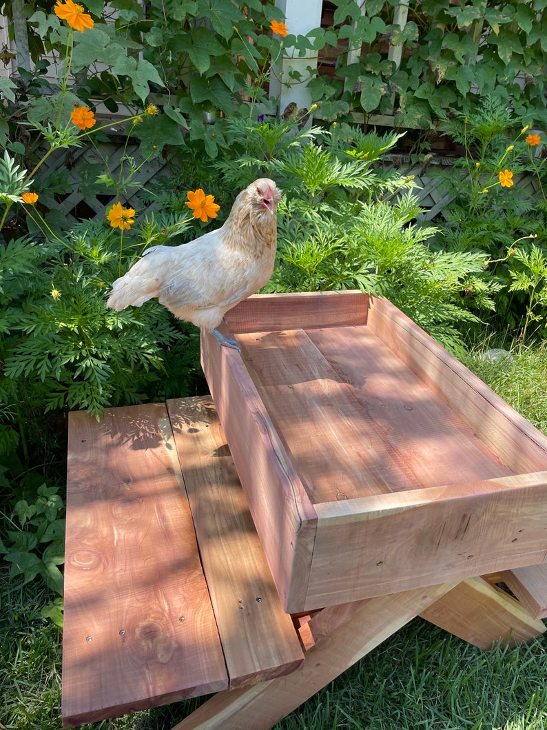 Cedar Chicken Picnic Table Feeder Handmade in USA - Etsy
