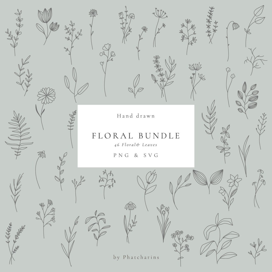 46 Botanical Clipart, Minimalist Botanical Line Art, Wild Floral Line ...