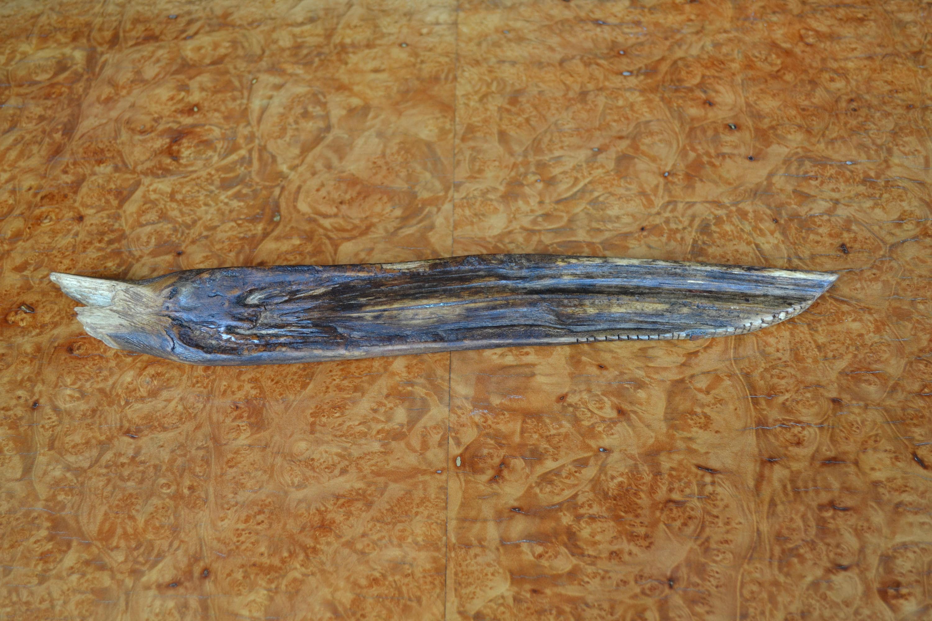 Georgian Fish Shaped Vampire Dagger - Etsy