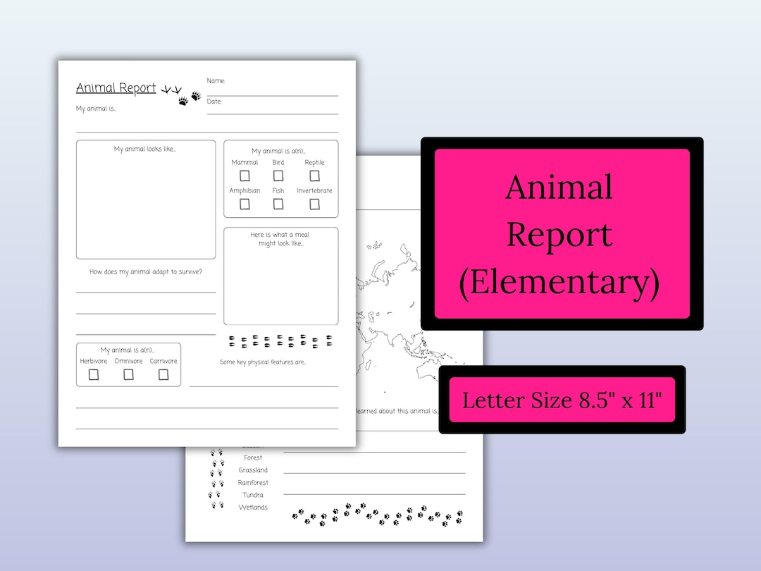 Animal Report Template | Printable Research Worksheet | Elementary ...