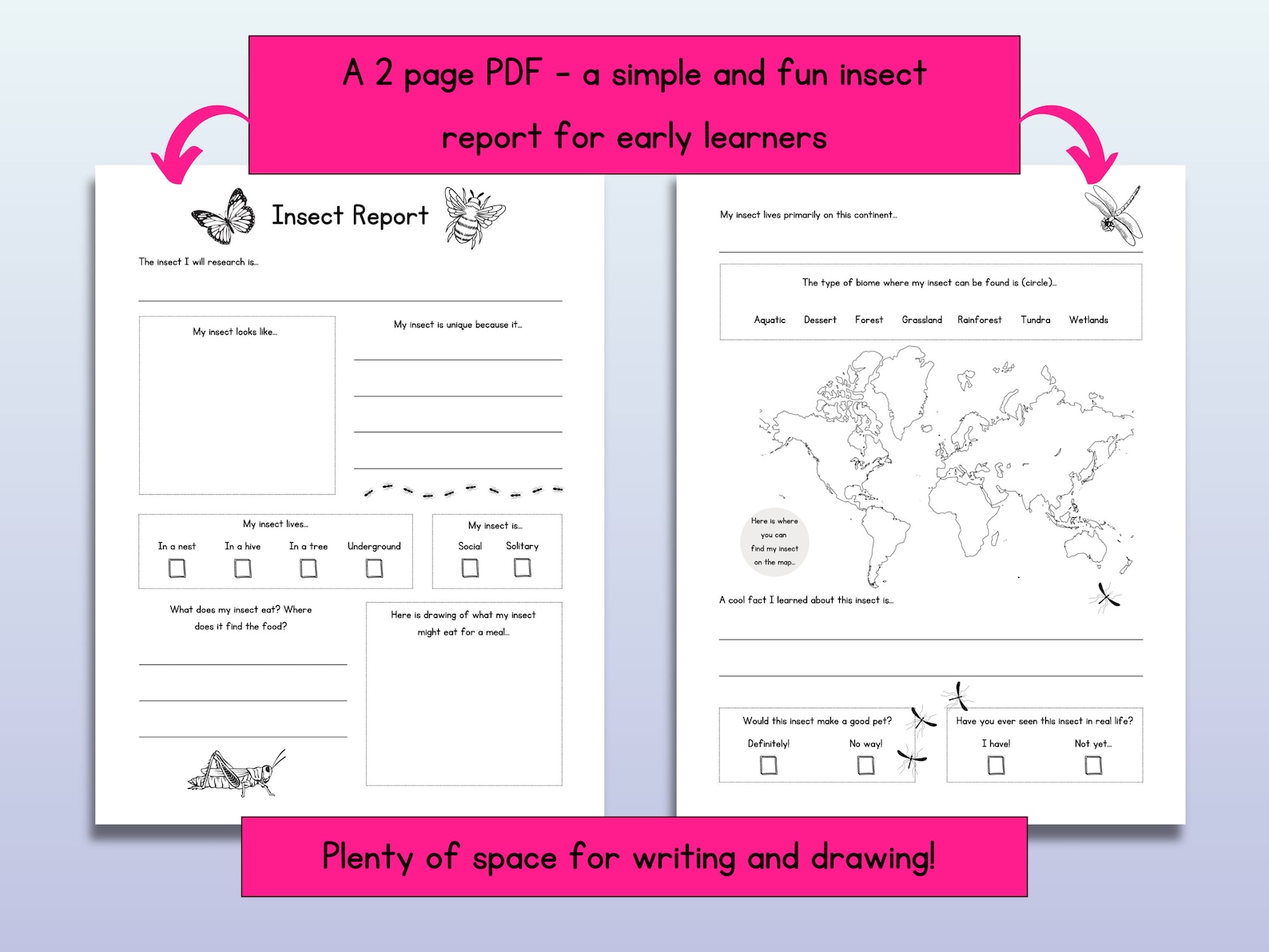 Insect Research Report, Bug Study Printable Worksheet, Nature ...