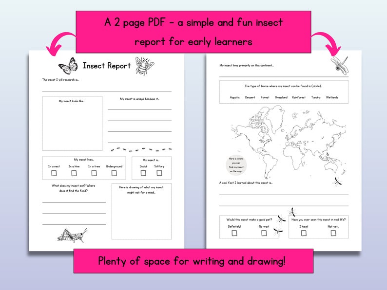 Insect Research Report, Bug Study Printable Worksheet, Nature ...