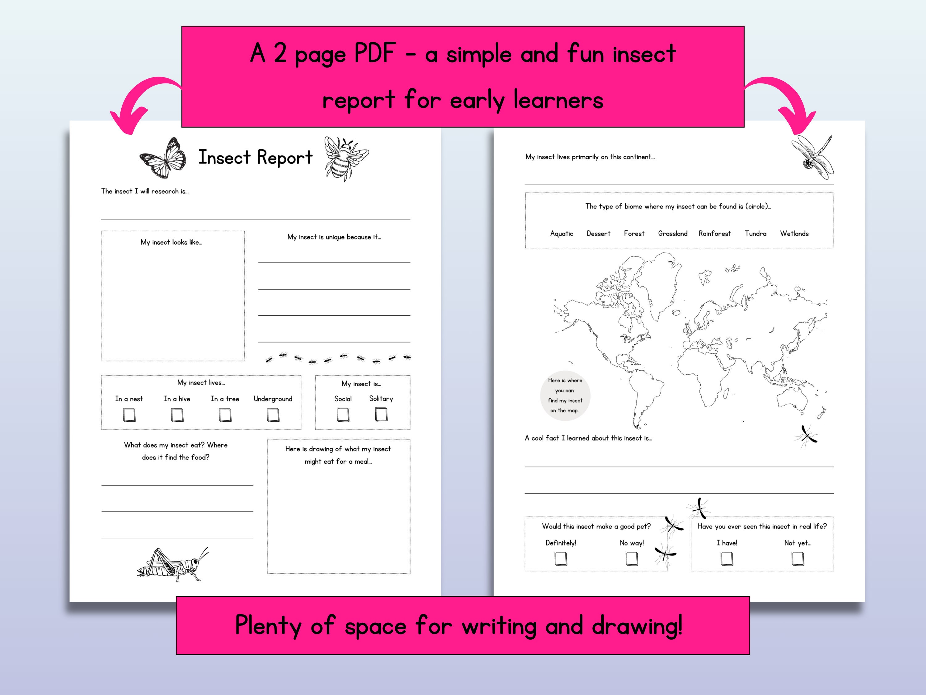 Insect Research Report, Bug Study Printable Worksheet, Nature ...