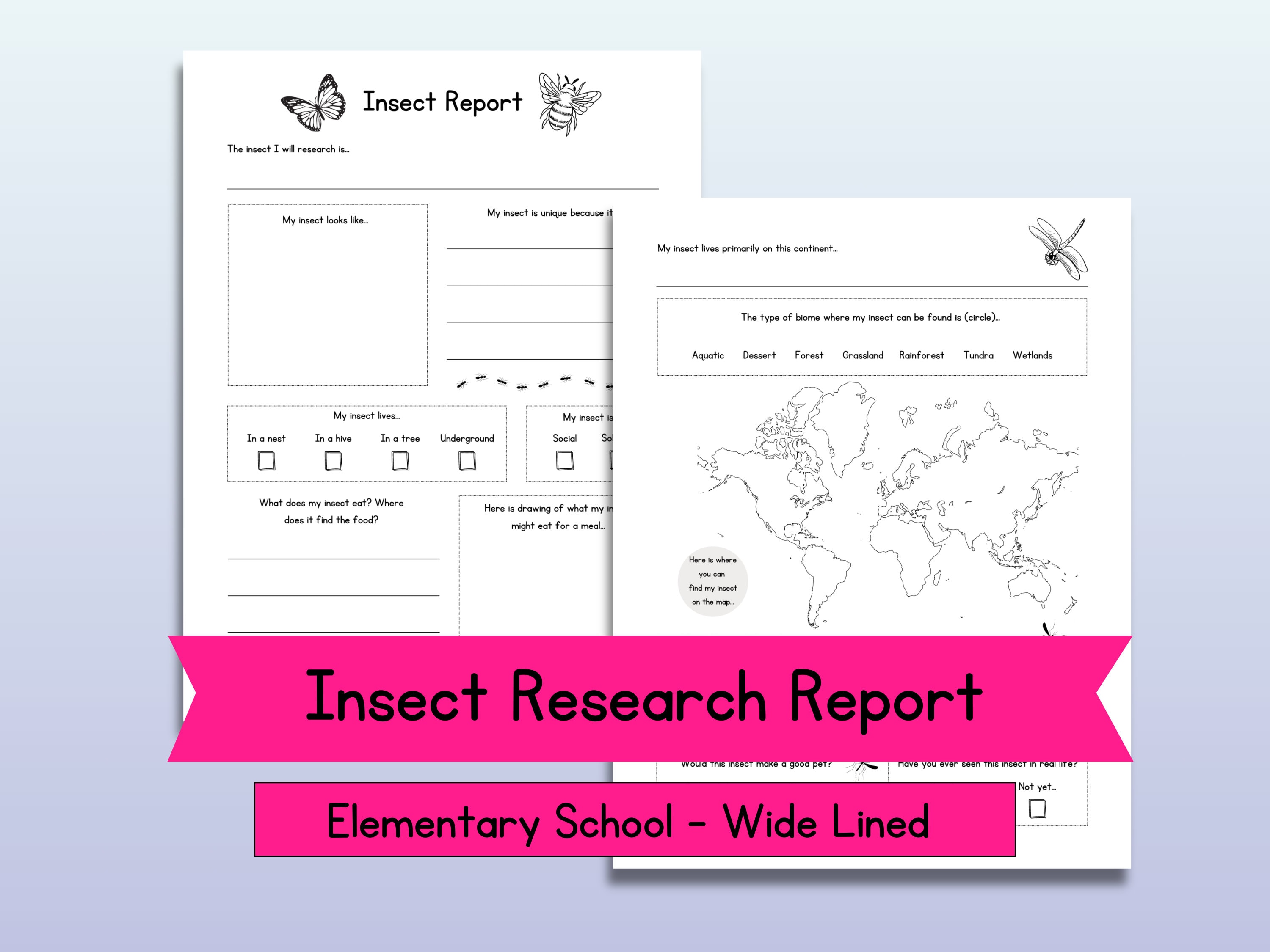 Insect Research Report, Bug Study Printable Worksheet, Nature ...