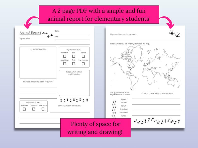 Animal Report Template | Printable Research Worksheet | Elementary ...