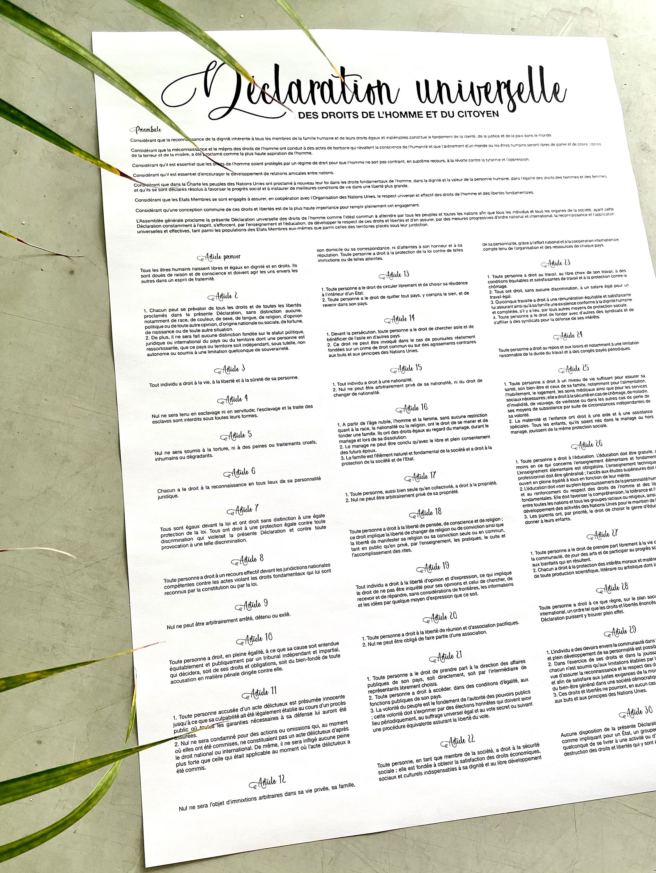 PDF Poster Universal Declaration - Etsy