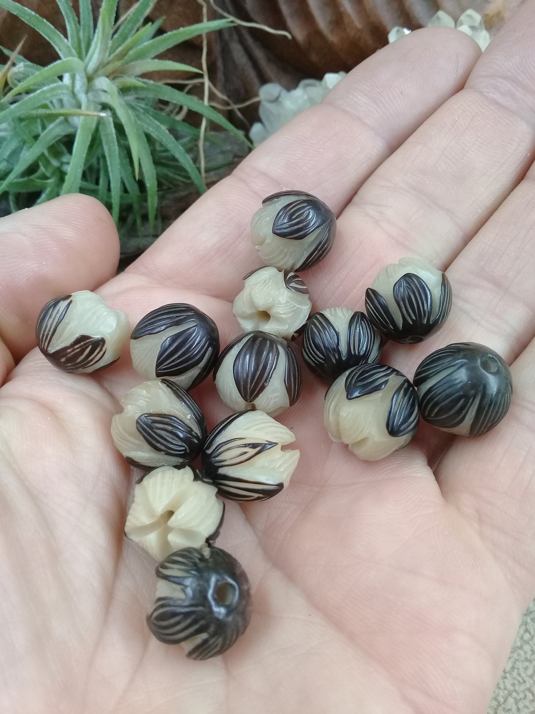 Lotus Flower Beads in Ivory Vegetable 13mm Variable Lot DIY - Etsy