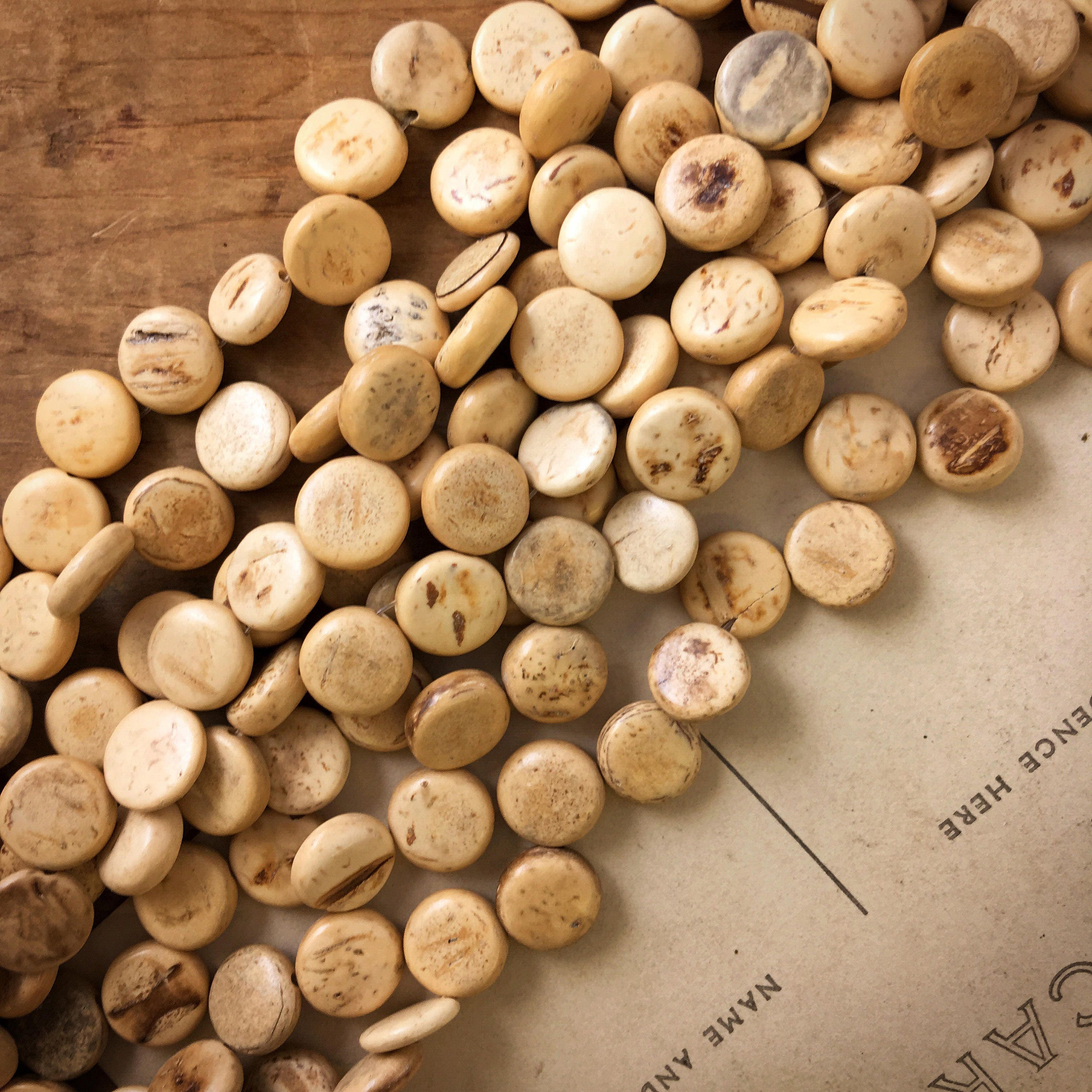 10mm Cream Colored Coco Coin Beads (1 Strand) B09 - Etsy