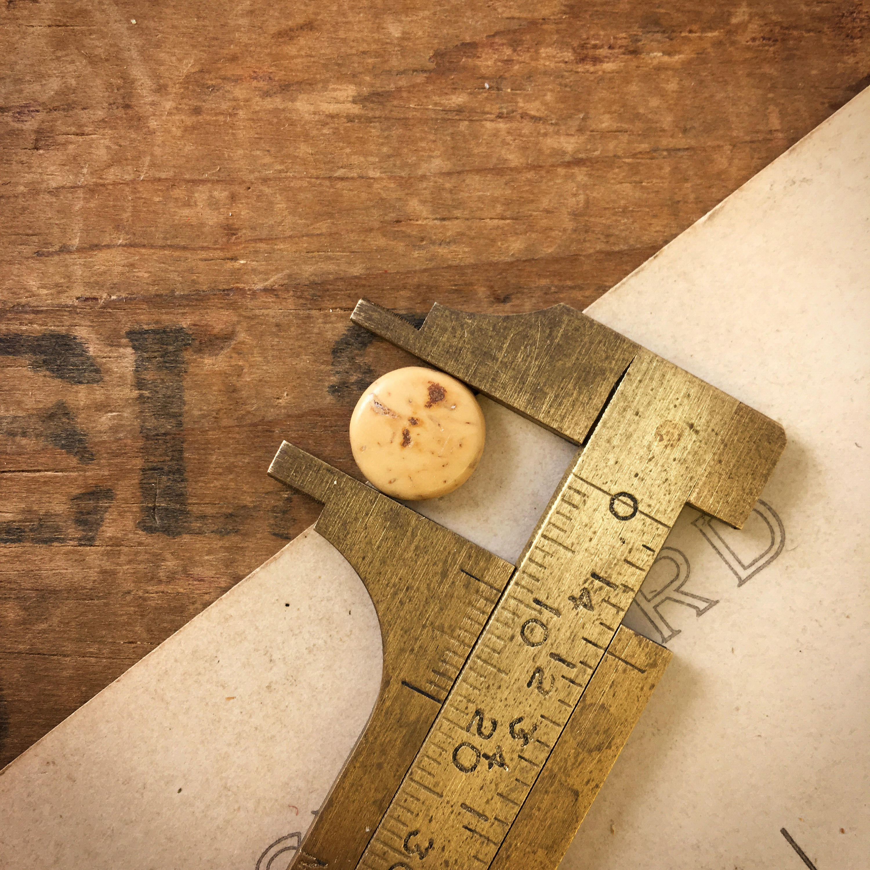 10mm Cream Colored Coco Coin Beads (1 Strand) B09 - Etsy