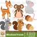 Woodland Friends Clipart Set, Personal and Commercial Use Vector ...
