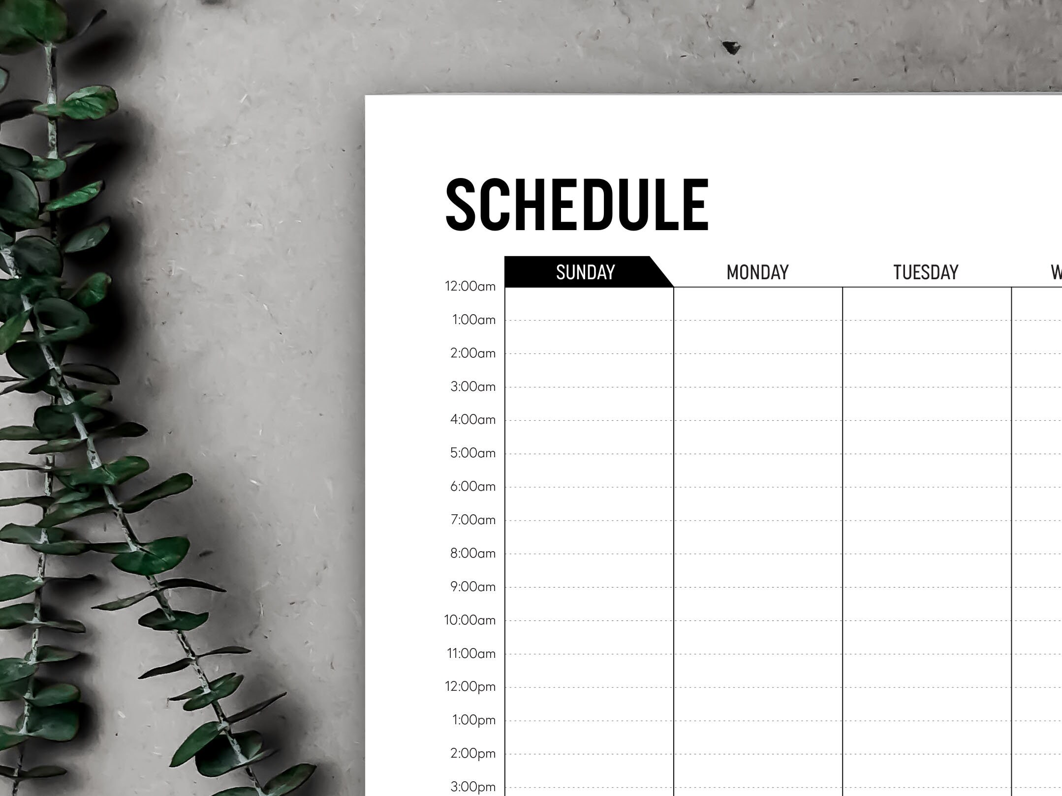 Time Blocking Weekly Planner PRINTABLE // Undated Weekly Planner ...