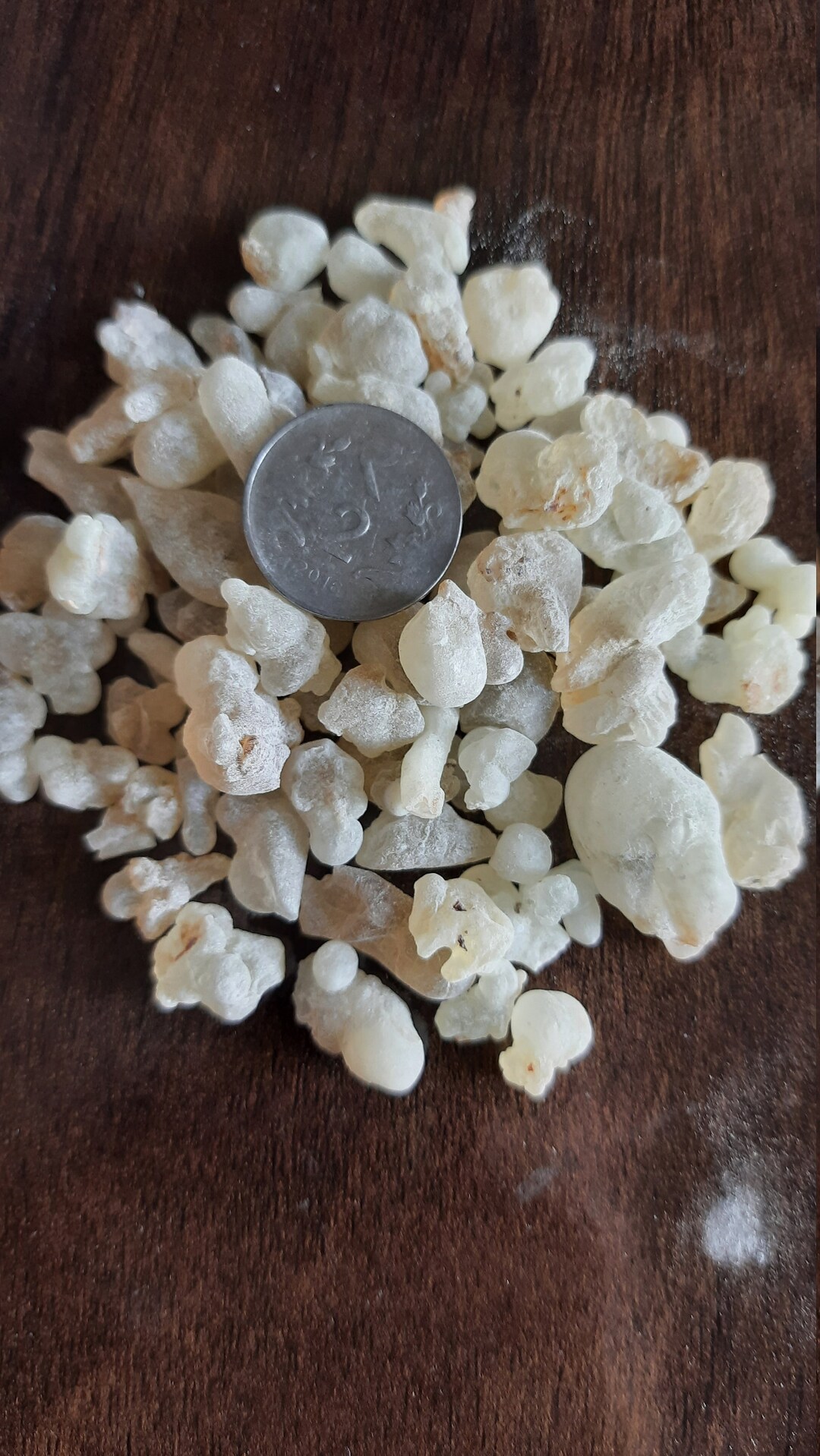 100 Gram Oliban Resin , Green Hojari Franckincense Resin ( Origin Oman ...