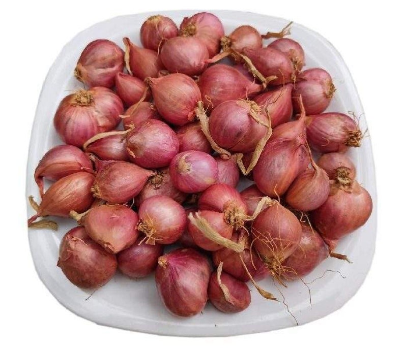 100 Sambar Onion Seeds, Small Pink Shallots, Chuvannulli - Etsy Canada