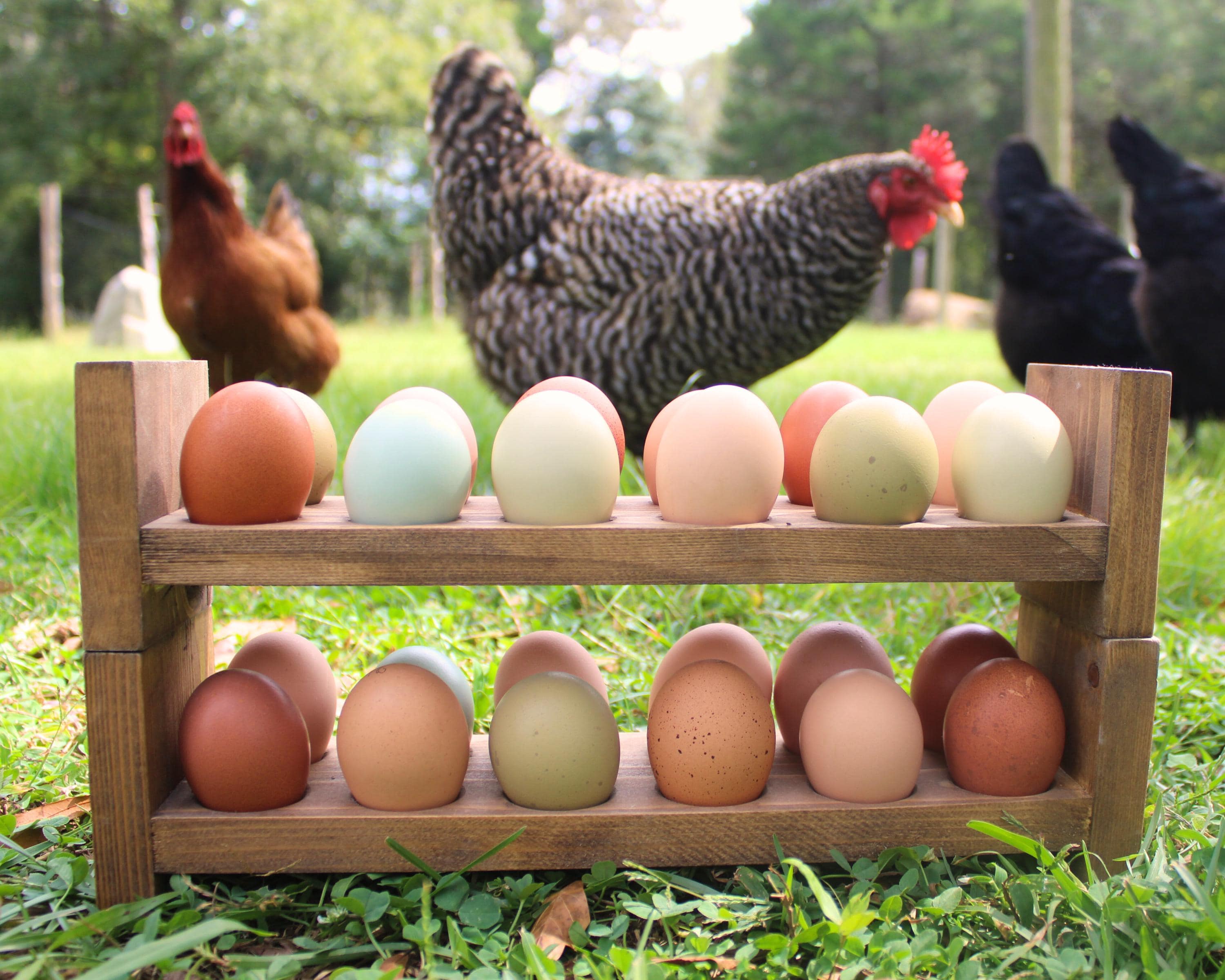 Wood Stackable Egg Holder, Fresh Egg Holders, Chicken Egg Holders, Egg ...