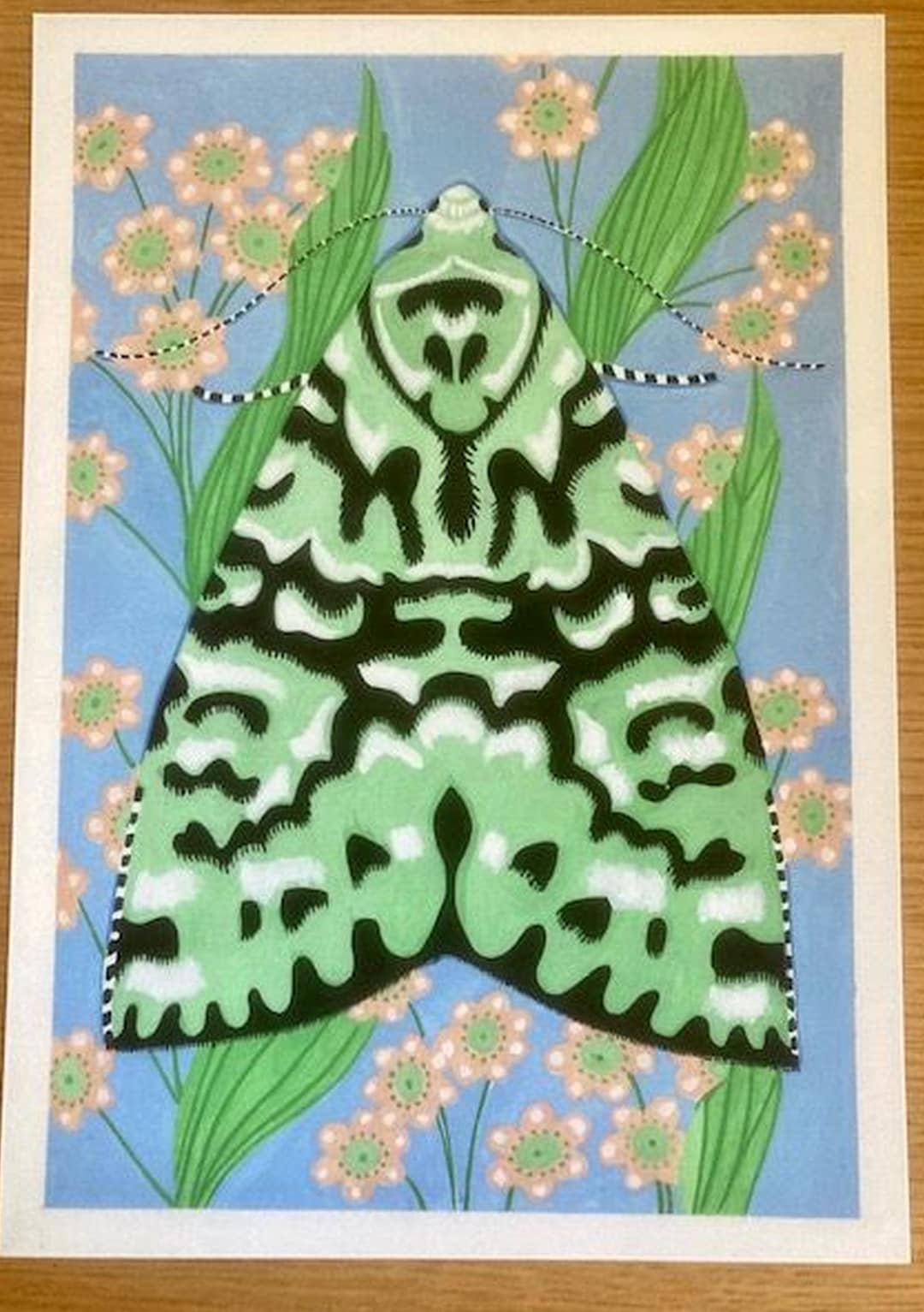 Moth Art Print Marvel Green Moth Wall Art Magical Moth Illustration ...