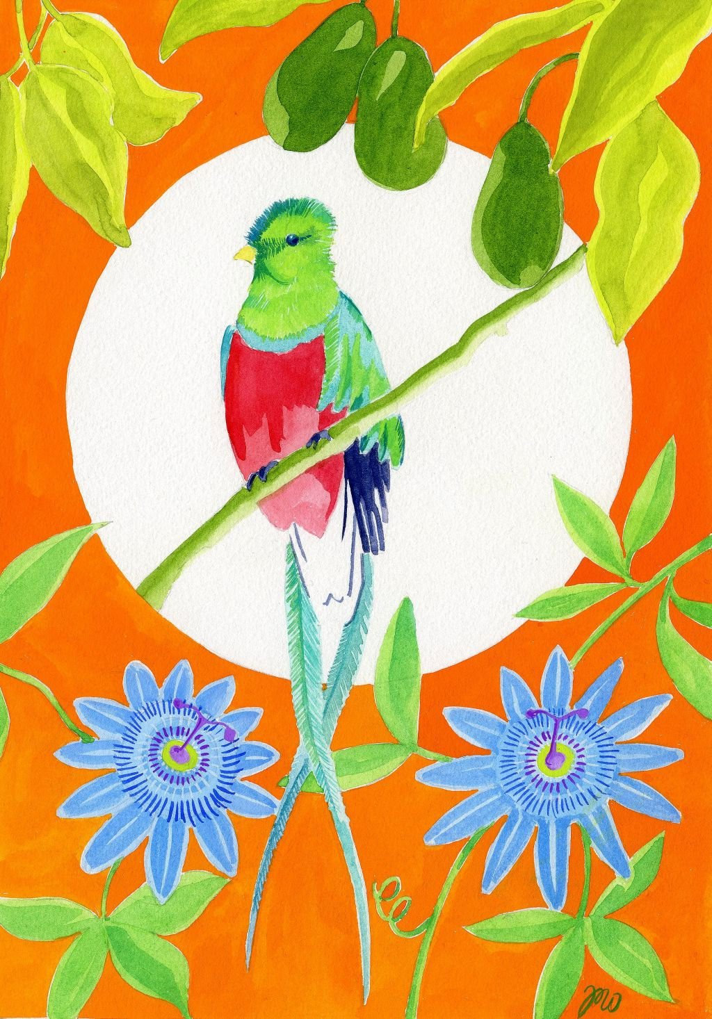 Resplendent Quetzal Bird Art Print Home Decor Wall Art Bird Print ...