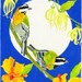 Spindalis Bird Print National Bird Art Print Home Decor - Etsy
