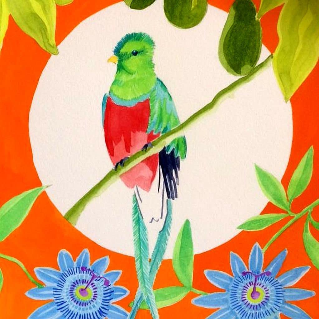 Resplendent Quetzal Bird Art Print Home Decor Wall Art Bird Print ...