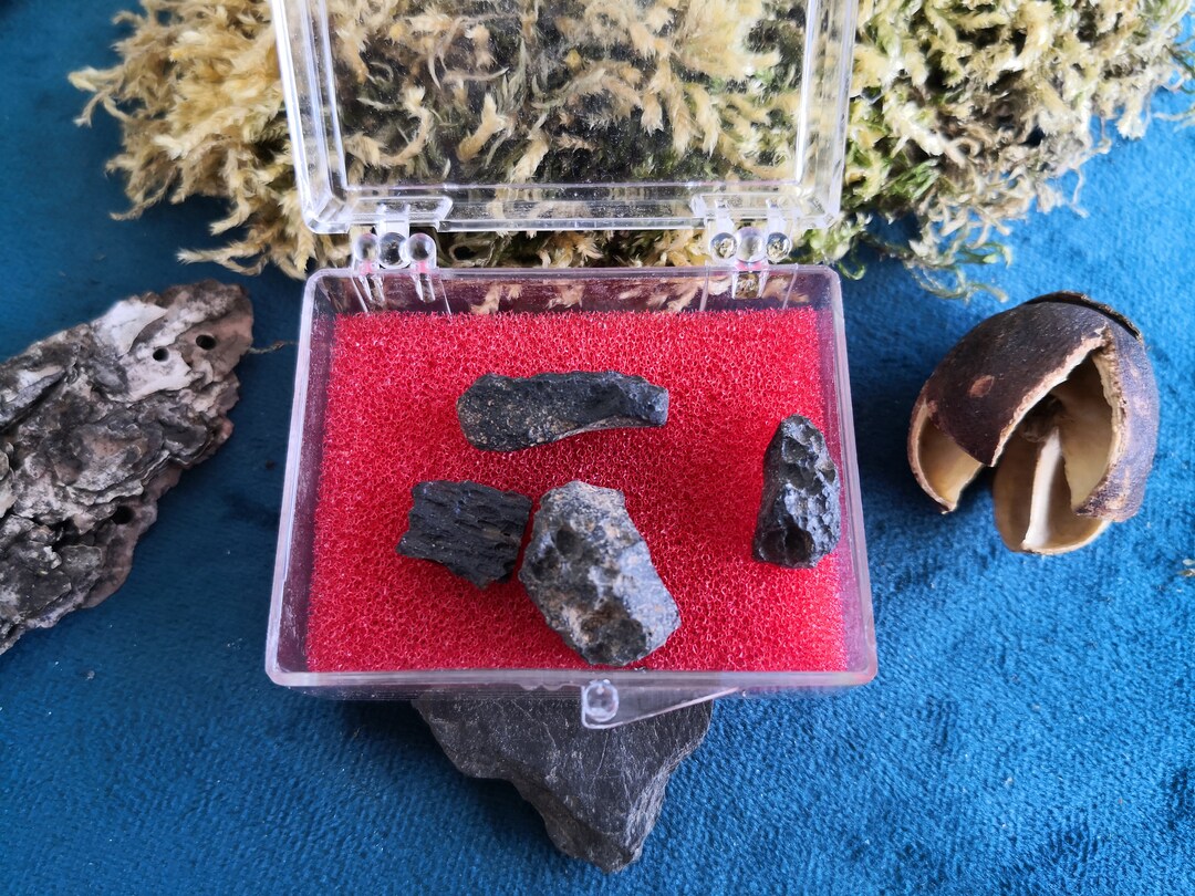 Natural Tektite Meteorite Impactite Collection Minerals Curiosity ...
