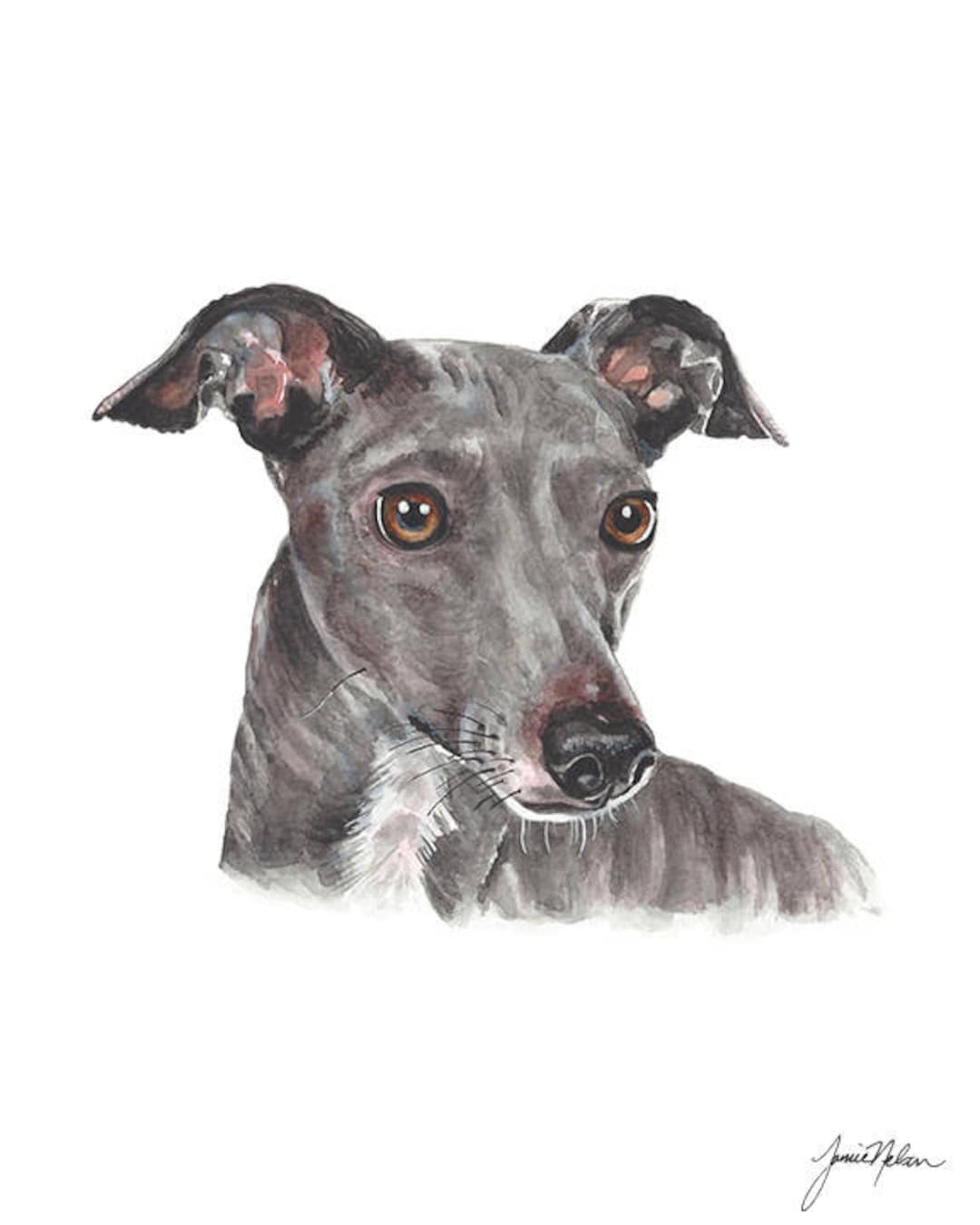 Italian Greyhound Watercolor Painting - Puppy Print - Dog Art ...