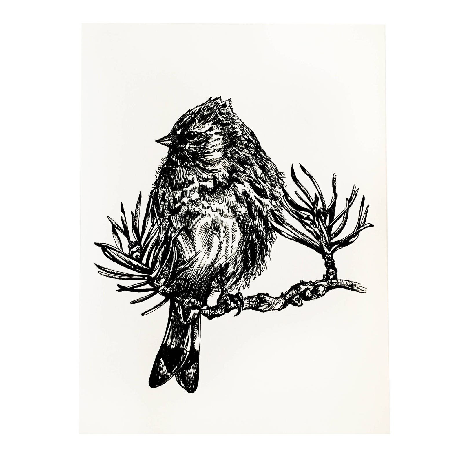 Bird Pen Illustration Bird on Branch Pen and Ink Animal - Etsy 日本