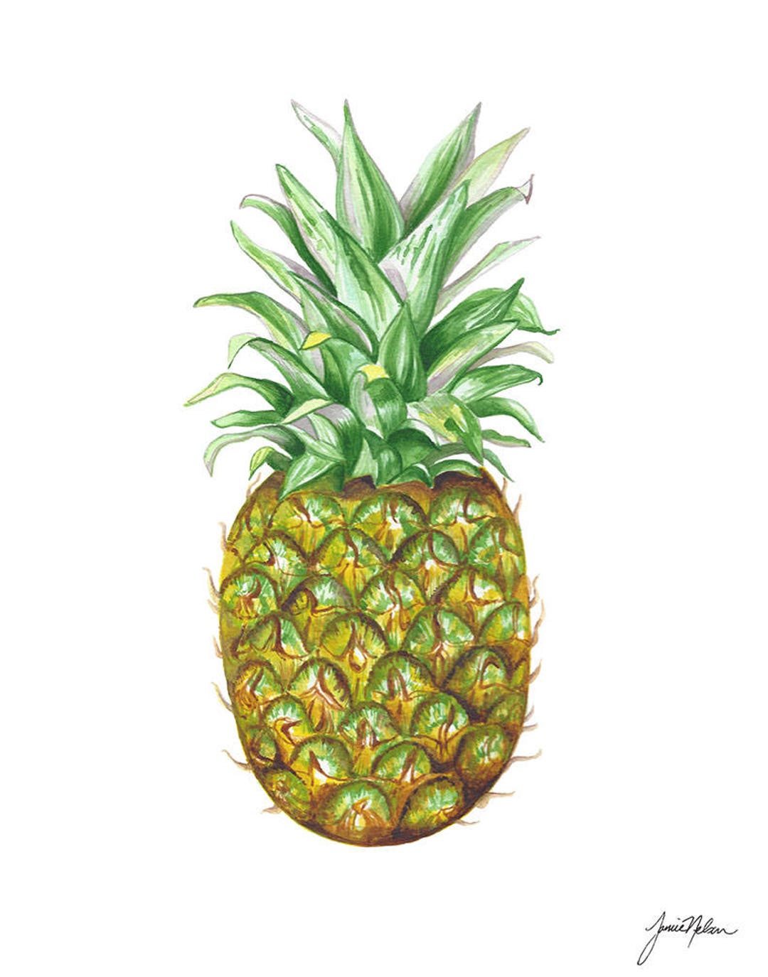 Pineapple Watercolor - Botanical Watercolor - Beach Painting - Tropical ...