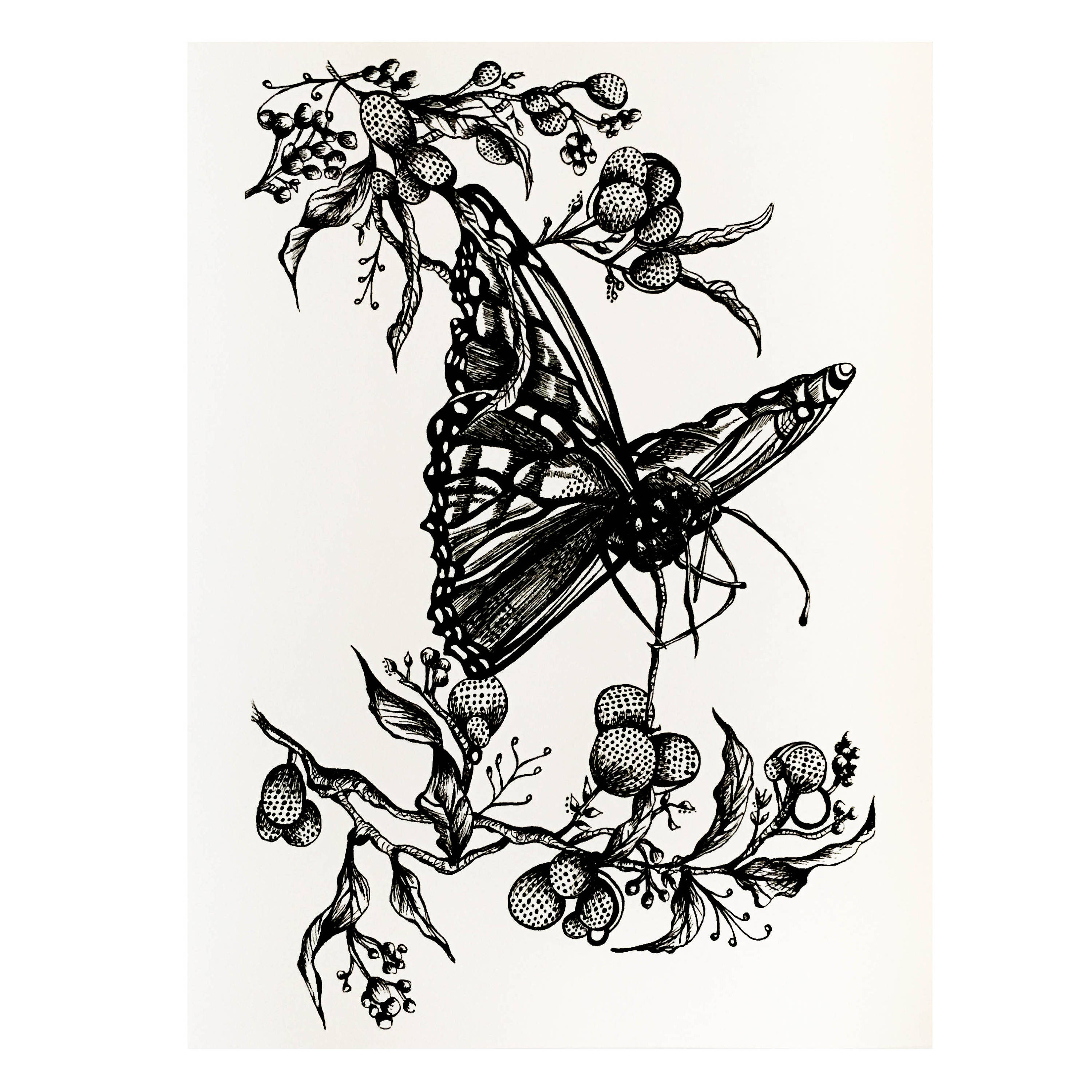 Butterfly Pen Illustration Branch Pen and Ink Insect - Etsy