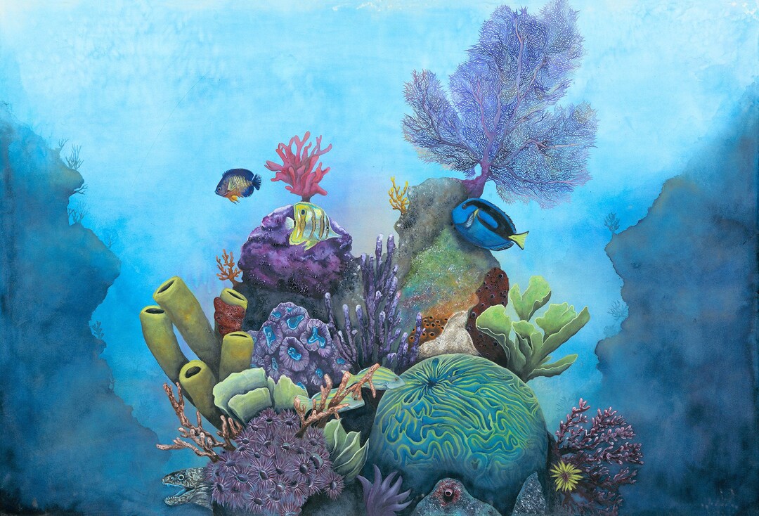 Coral Reef Archival Quality Prints - Etsy
