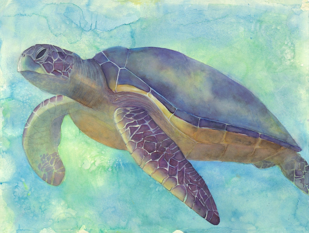 Green Sea Turtle Archival Quality Prints - Etsy