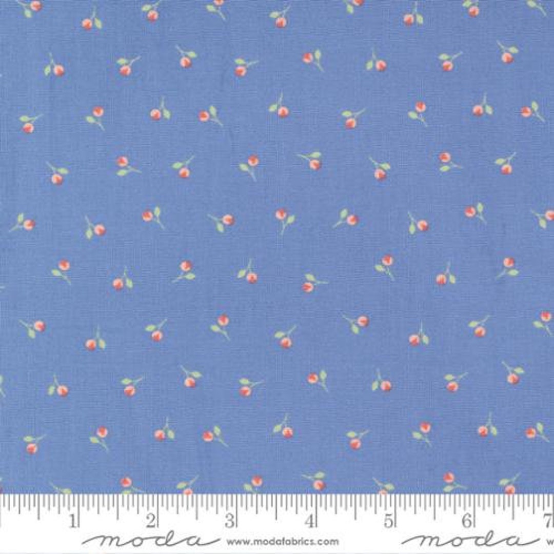 Sunwashed - Corey Yoder - Bittie Buds - Sky - 29164-20 - Fabric is Sold ...