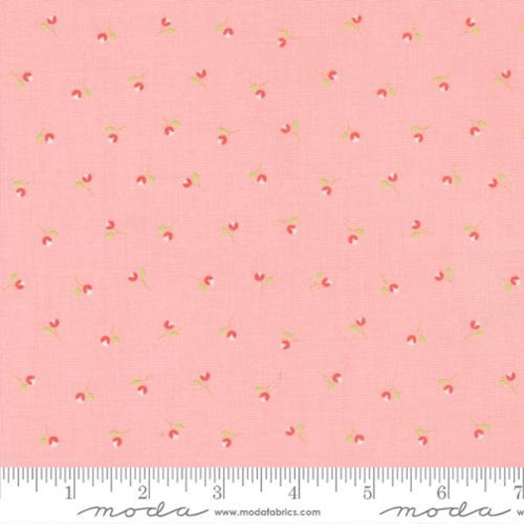Sunwashed - Corey Yoder - Bittie Buds - Carnation - 29164-22 - Fabric ...