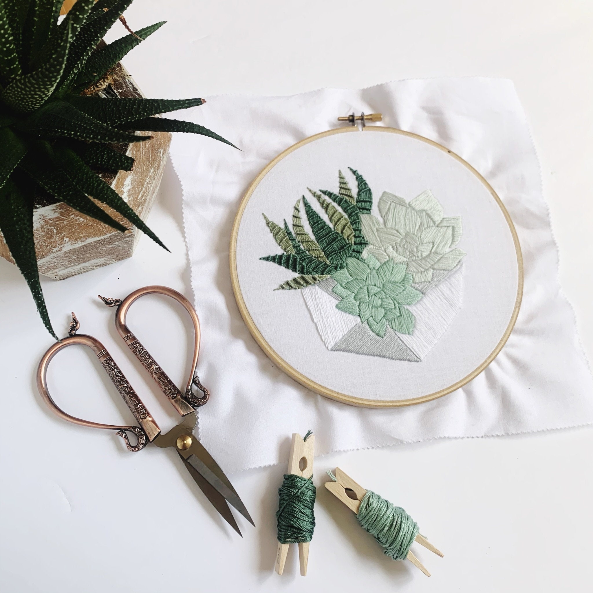 Succulent Terrarium | Modern Embroidery | Digital Download | PDF - Etsy