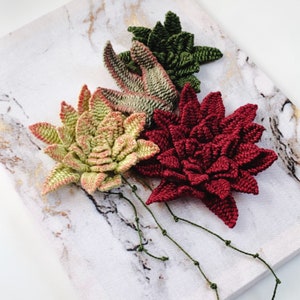 Marble Succulents | 3D Embroidery | Modern Embroidery | Succulent ...