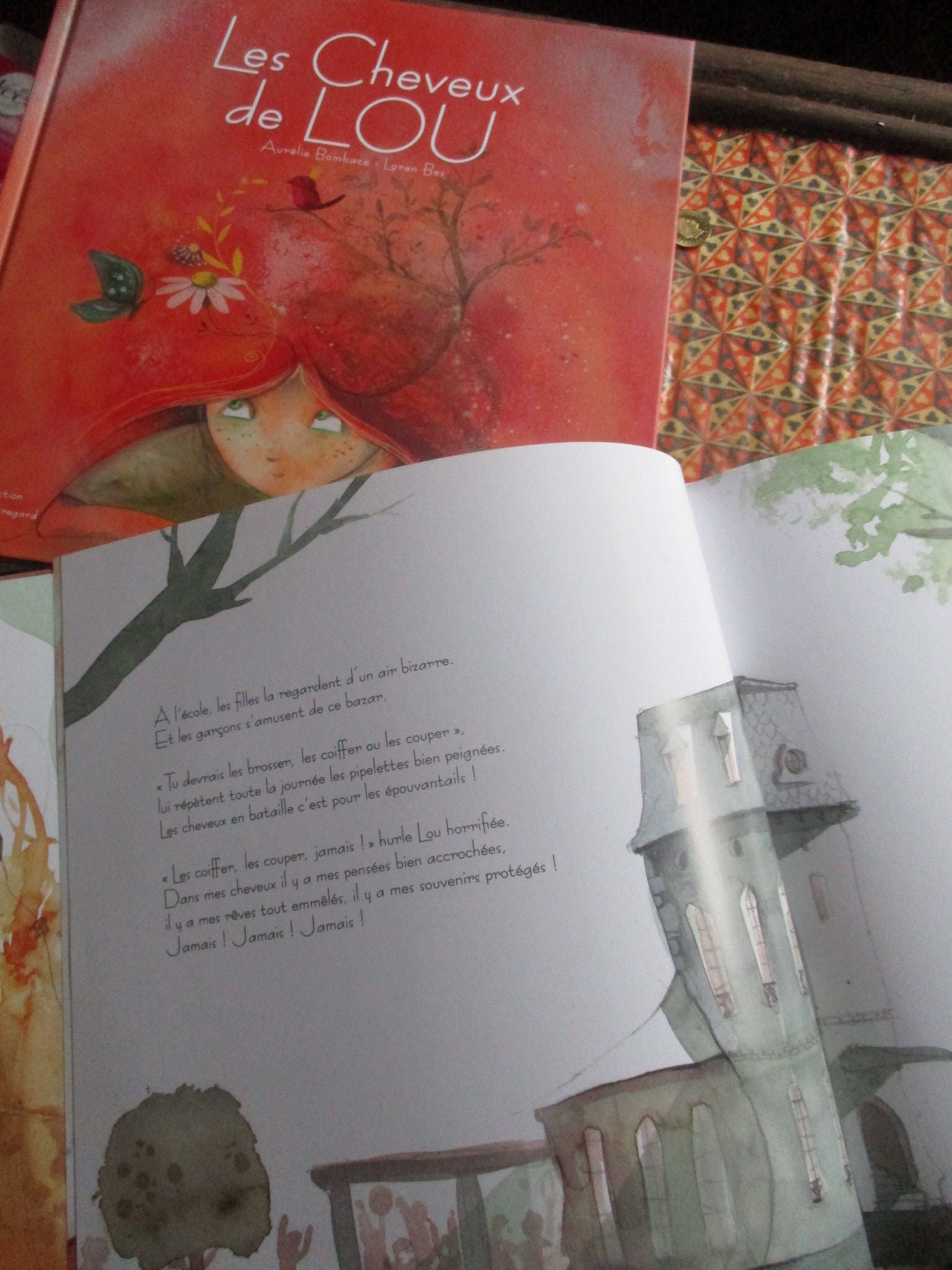 Illustrated Children's Book Lou Hair Written by Aurélie Bombace ...