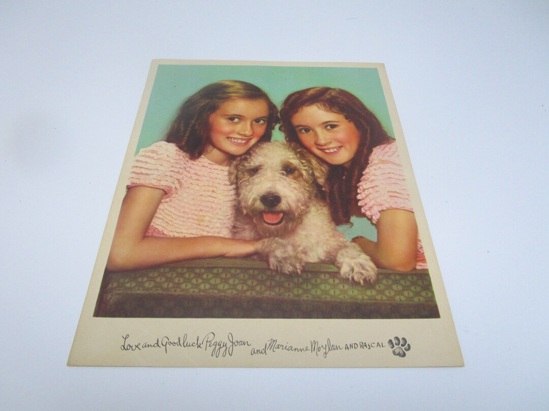 1940's Peggy Joan & Marianne Moylan Sisters With Rascal Publicity Photo ...