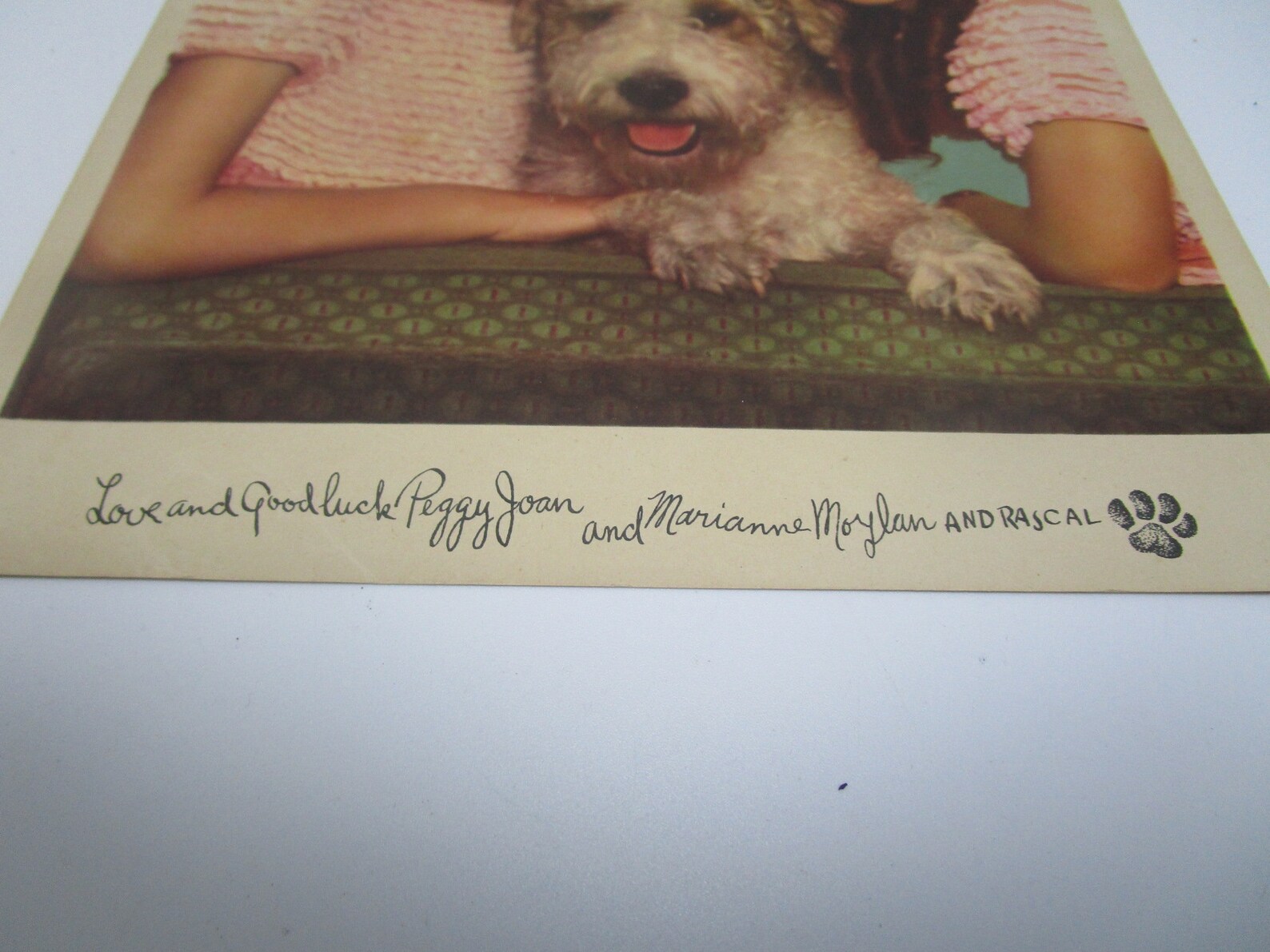 1940's Peggy Joan & Marianne Moylan Sisters With Rascal Publicity Photo ...
