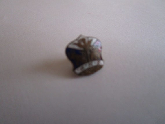 Antique Enameled Z N P Polish National Alliance Pinback | Etsy