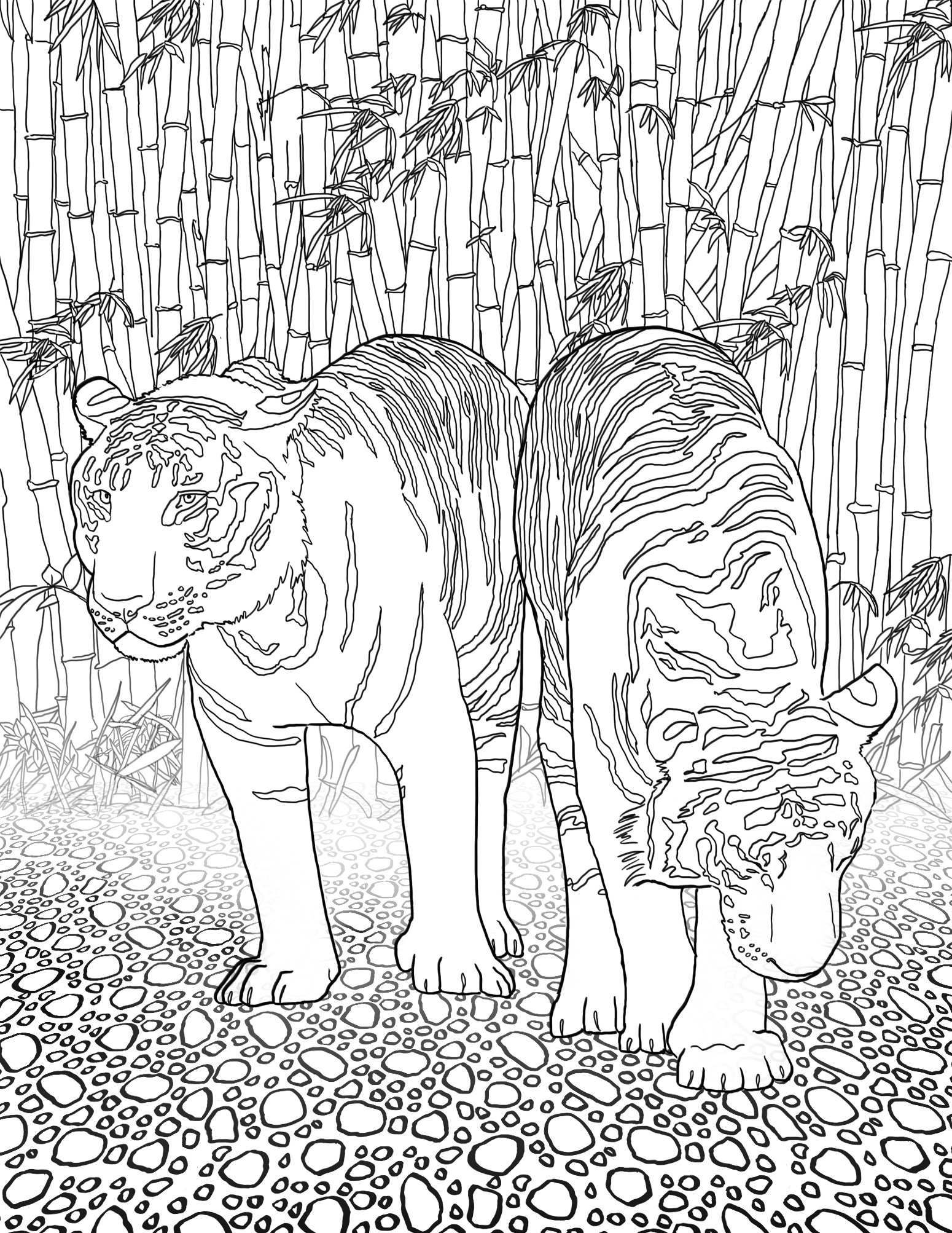 Animal Patterns Coloring Pages