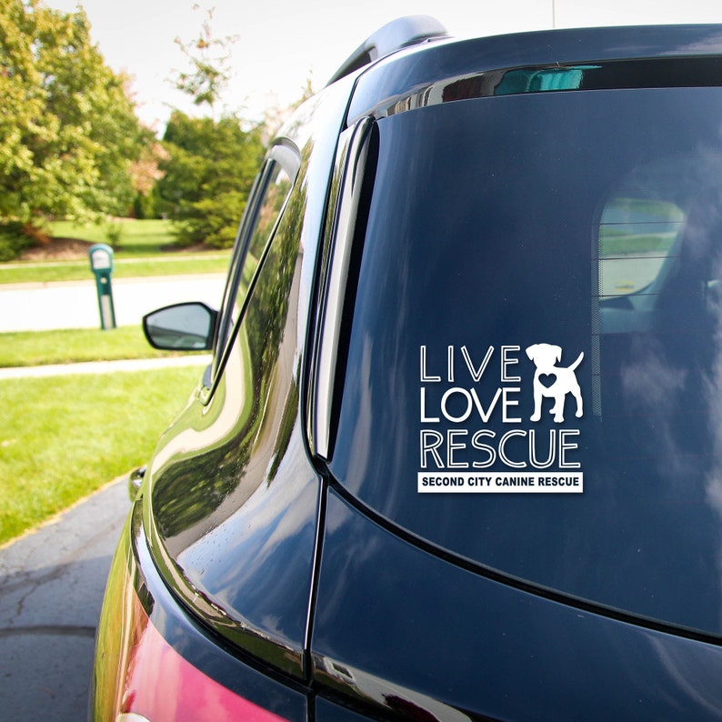Vinyl Decals--> 6 Designs | FREE SHIPPING - Etsy